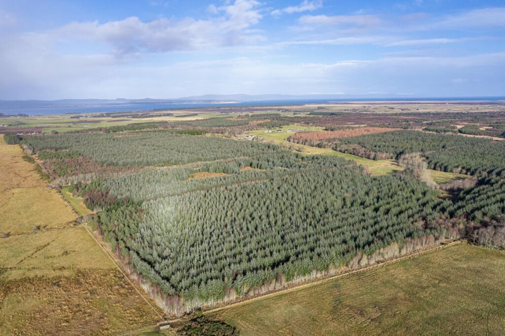 John Clegg & Co | Leading Forestry and Woodland Specialists