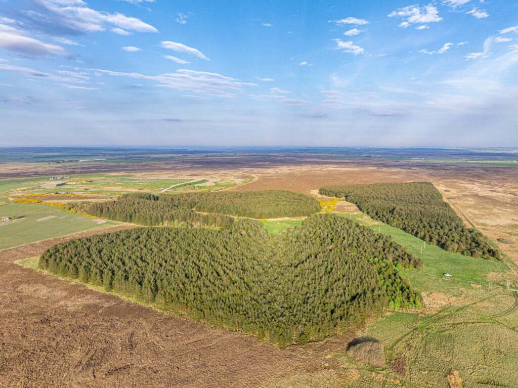 Our Properties - Forestry & Woodland For Sale | John Clegg & Co